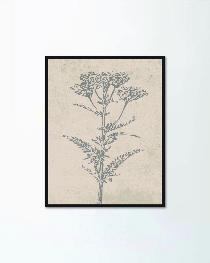 รูปภาพพร้อมกรอบแขวนผนัง Set of botanical posters - PENNELLO